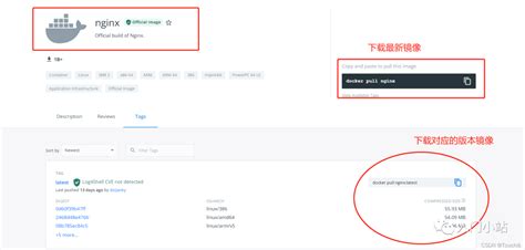 Docker 安装nginx容器 完整详细版 腾讯云开发者社区 腾讯云