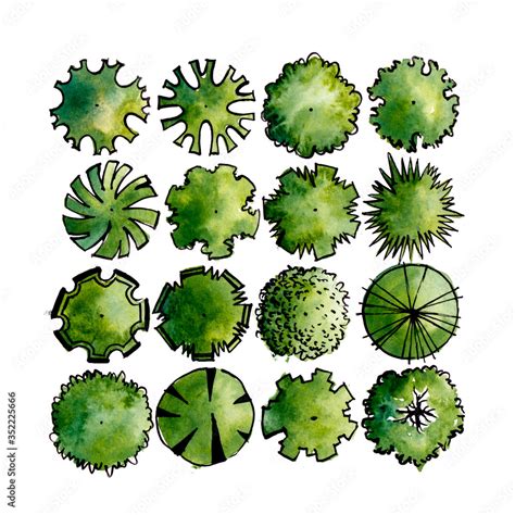 Symbols Of Landscape Architect Plan Design By Watercolor Hand Drawn