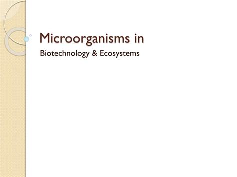 Ppt Microorganisms In Powerpoint Presentation Free Download Id 1894758