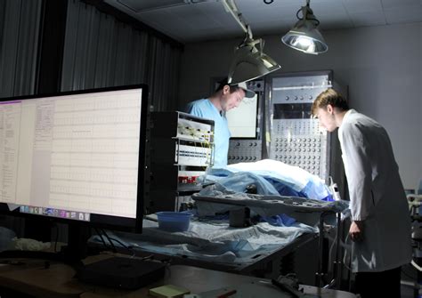 College Of Engineering Outstanding Dissertation For 2021 Awarded To Brian Zenger Biomedical