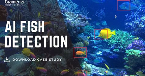 AI Fish Detection From Videos To Save Salmon Species Real Case Study