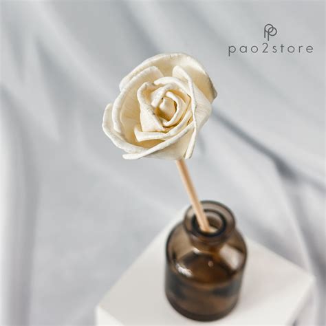 Jual Bunga Reed Diffuser Sola Flower Kering Dried Klobot Wood Ornamen Hiasan