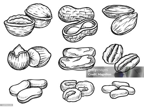 Nuts Clipart Black And White