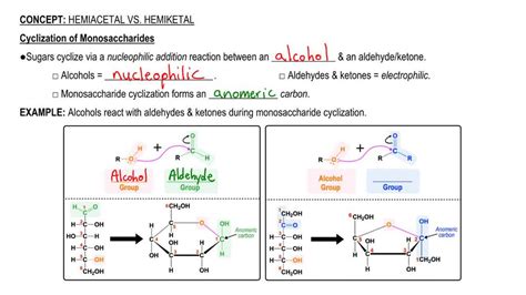 Hemiacetal Vs Hemicetal