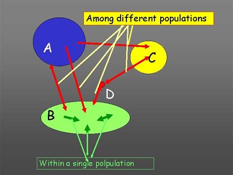 Interactions Among Microbial Populations Successful Bioremediation