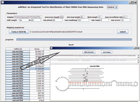 Mirplant An Integrated Tool For Identification Of Plant Mirna From Rna Sequencing Data Rna