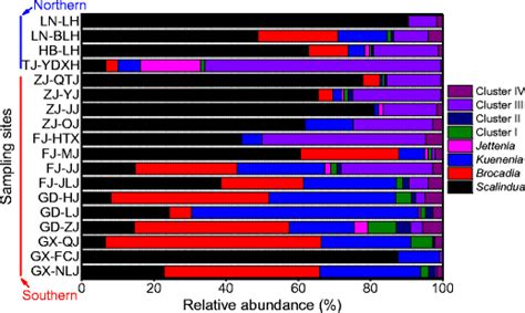 The Relative Abundance Of Each Cluster In The Planctomycetes Phylum In