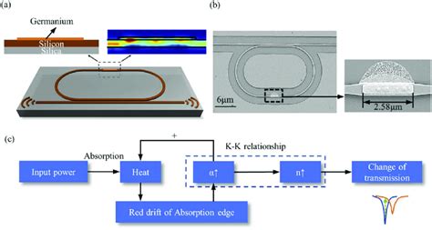 A Structure And Light Propagation Of Proposed Device B Scanning