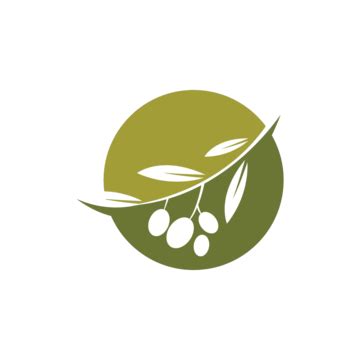 Olive Logo Background Green Logo Vector Background Green Logo Png