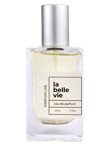 La Belle Vie Parfum Lab Perfume A New Fragrance For Women 2024