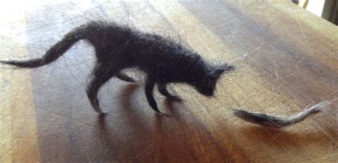 털 많은 고양이 종류와 빗 추천 가지 털이 엉키지 않게 빗질하려면 비마이펫 라이프