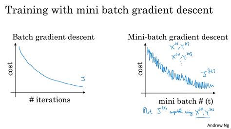 W2 Optimization Algorithms Architechlu