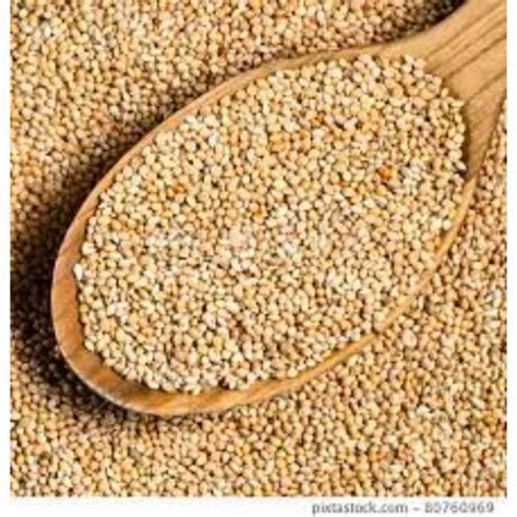 Brown Organic Proso Millet High In Protein At In Thirumangalam Id 2854021477530