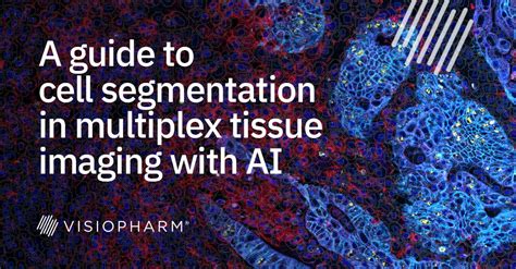 A Guide To Cell Segmentation In Multiplex Tissue Imaging With Ai