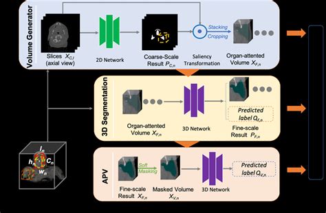 Pipeline Of The Organ Segmentation Framework The Blue Box Represents Download Scientific