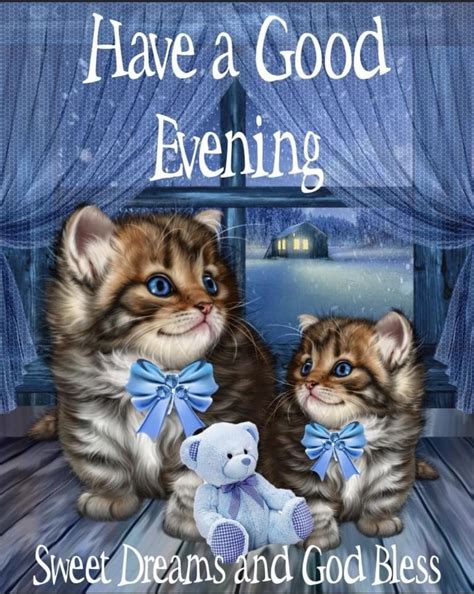 Cute Kittens Good Evening Wishes
