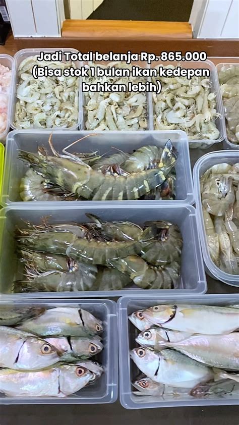 Bentuk Ikan Tenggiri