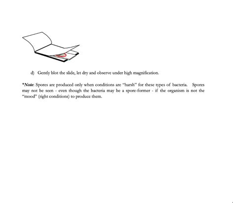 Solved Spore Staining Purpose Perform Staining To Observe Chegg Com