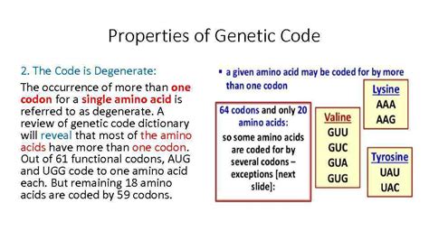 The Properties Of The Genetic Code Learning
