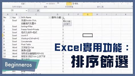 【excel教學】辦公室必學的實用功能：排序篩選｜beginneros Youtube