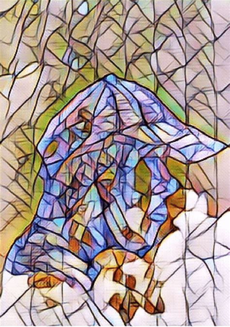 Seeker Of Wisdom Collection Opensea