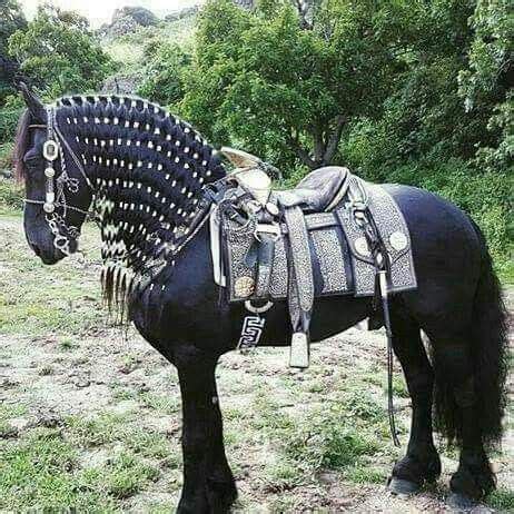Friesian Braids Horse Costumes Medieval Horse Friesian Horse