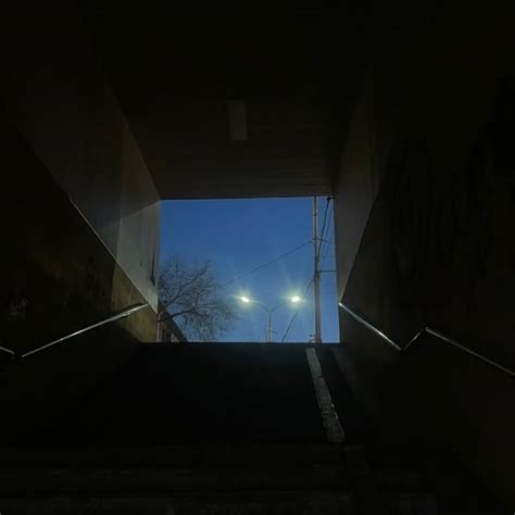 Тэр Чи Гэрэлтэх түүний харцан дунд Гагцхүү нэгэн оч асна Гайхалтайн аргагүй түүний нүд Гялтагнан