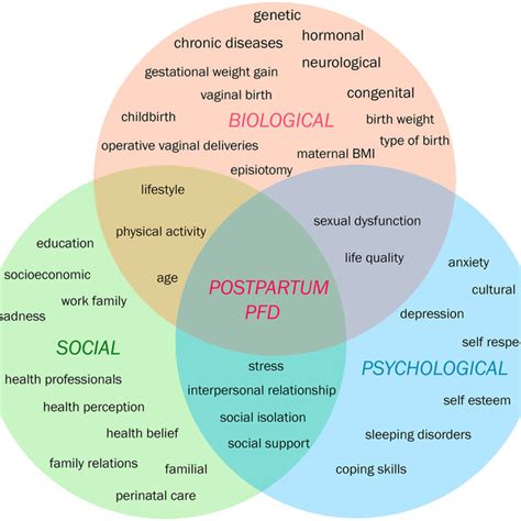 Pelvic Floor Dysfunction Pfd Symptoms In Postpartum Women Download