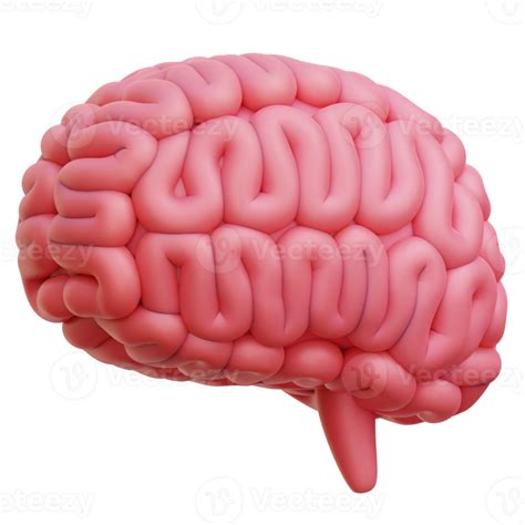 Brain 3d Icon Illustration 28753801 Png