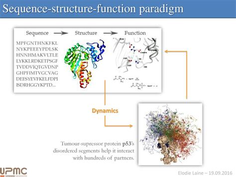 Structural Bioinformatics Ppt Download Structural Bioinformatics Ppt Download