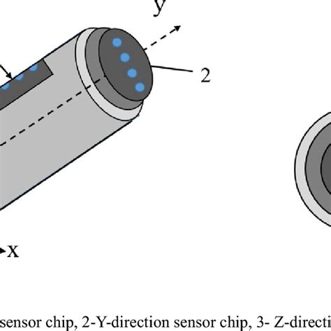 Schematic Diagram Of 3ds Sensor Chips Position Of Stress Sensor