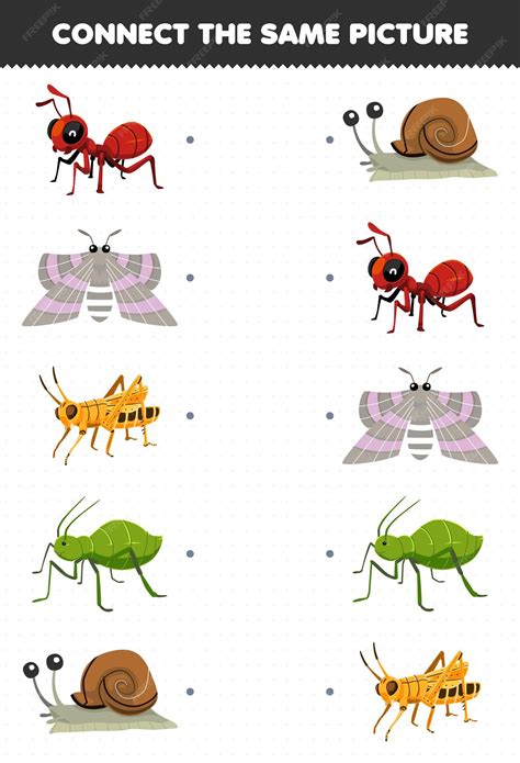 어린이를 위한 교육 게임은 귀여운 만화 개미 나방 메뚜기 진딧물 달팽이 인쇄용 버그 워크시트의 동일한 그림을 연결합니다