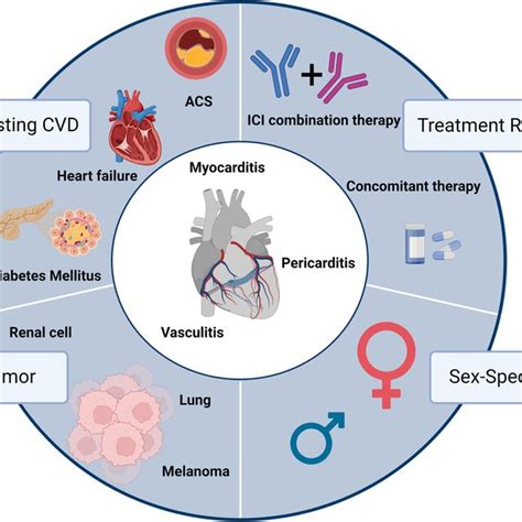 Potential Risk Factors For Ici Mediated Myocarditis Pericarditis And Download Scientific