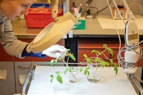 Another Target Of The Israeli Governments Assault On Science The World Acclaimed Volcani