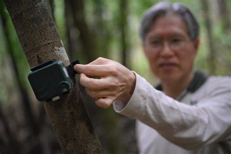 Tracking The Vital Signs Of Spores Forests To Coax The Return Of