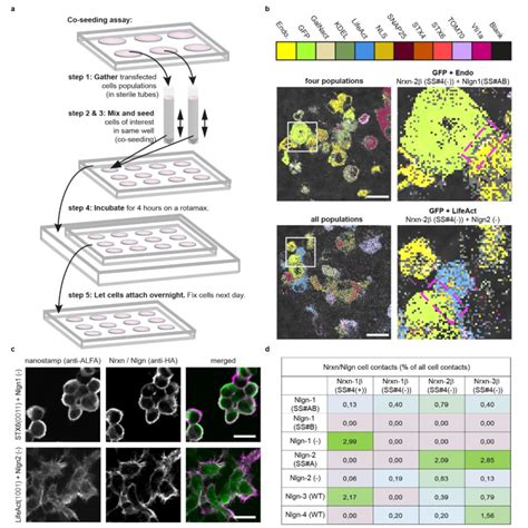 Multiplex Identification Of Proteins Using A Neural Network Based