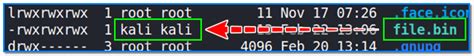 Lab 61 Advanced File Operations