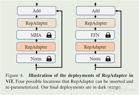 RepAdapter 通过结构重参数化实现零推理成本的PETL方法 知乎 RepAdapter 通过结构重参数化实现零推理成本的PETL方法 知乎