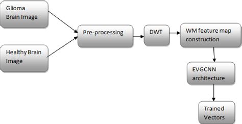 Figure 2 from A Deep Learning Based Glioma Tumour Detection Using Efficient Visual Geometry ...