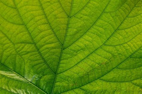 How To Automatically Export Filtered Data To Other Spreadsheets Sheetgo