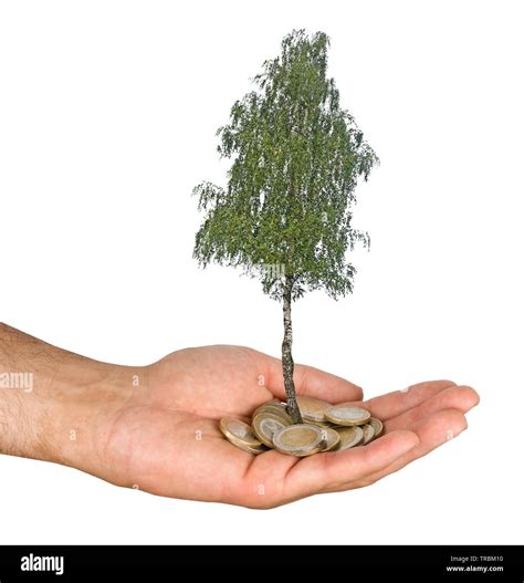 Palm With A Tree Growing From Pile Of Coins Stock Photo Alamy