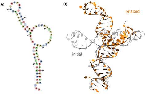 A Secondary And B Tertiary Structure Of The First Stem Loop Of The