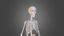 Skeleton Download Free 3d Model By Ulvenok 1982f47 Sketchfab