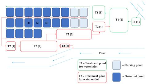 Water Free Full Text Comparison Of Water Quality Prediction For Red Tilapia Aquaculture In
