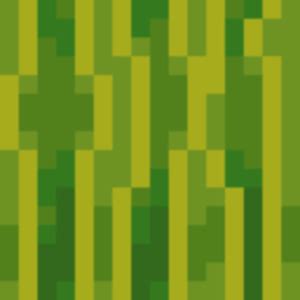 Twitch