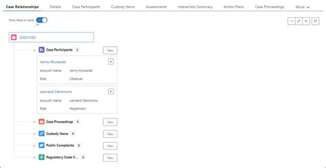 Meet Application Complaint And Case Objects Salesforce Trailhead