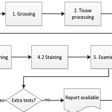 Histopathology Processes Download Scientific Diagram