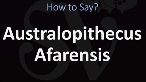 How To Pronounce Australopithecus Afarensis Correctly Youtube