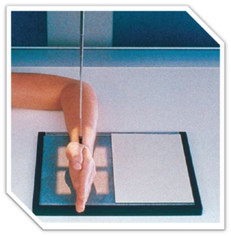 Lateral Wrist Flashcards Quizlet