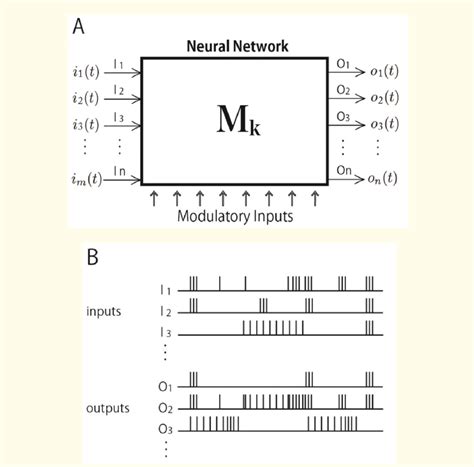 Inputs And Outputs Of The Neural Network A A Neural Network Brain Or Download Scientific